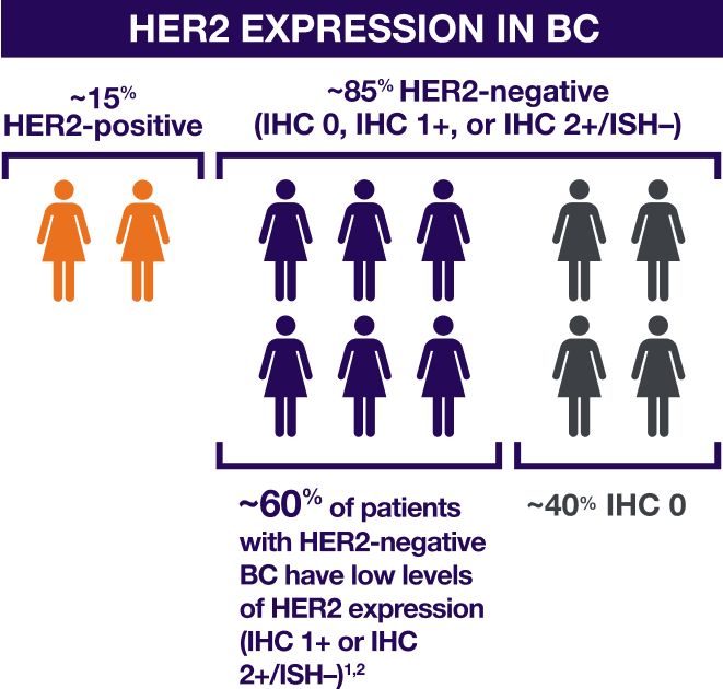 About HER2-low metastatic breast cancer
