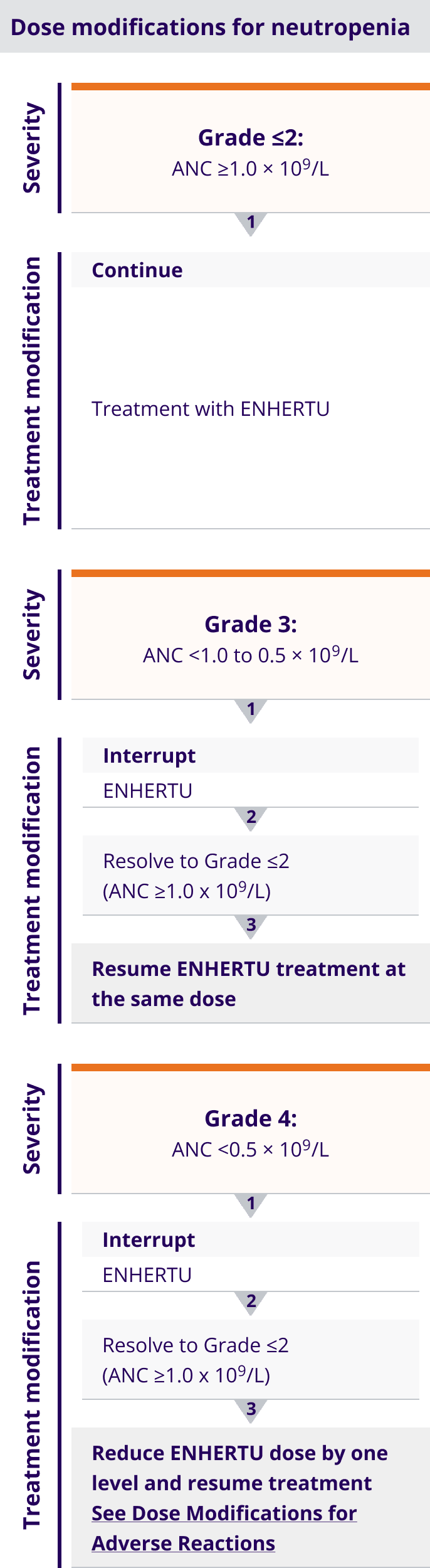 Neutropenia | ENHERTU® (fam-trastuzumab deruxtecan-nxki)
